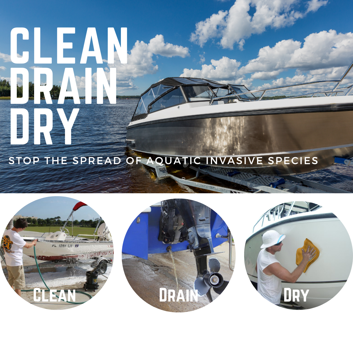 Detection Problem Species