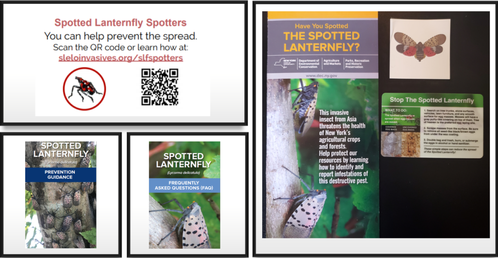 Spotted Lanternfly Spotters – SLELO PRISM