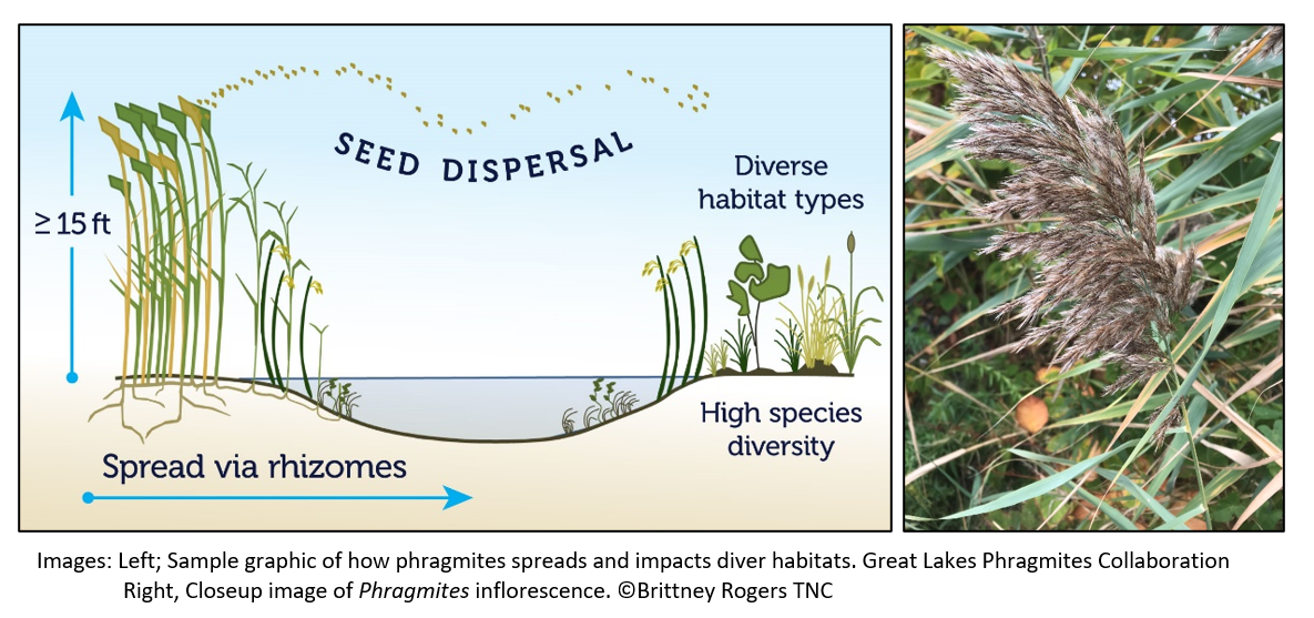 The Benefit of Our Efforts