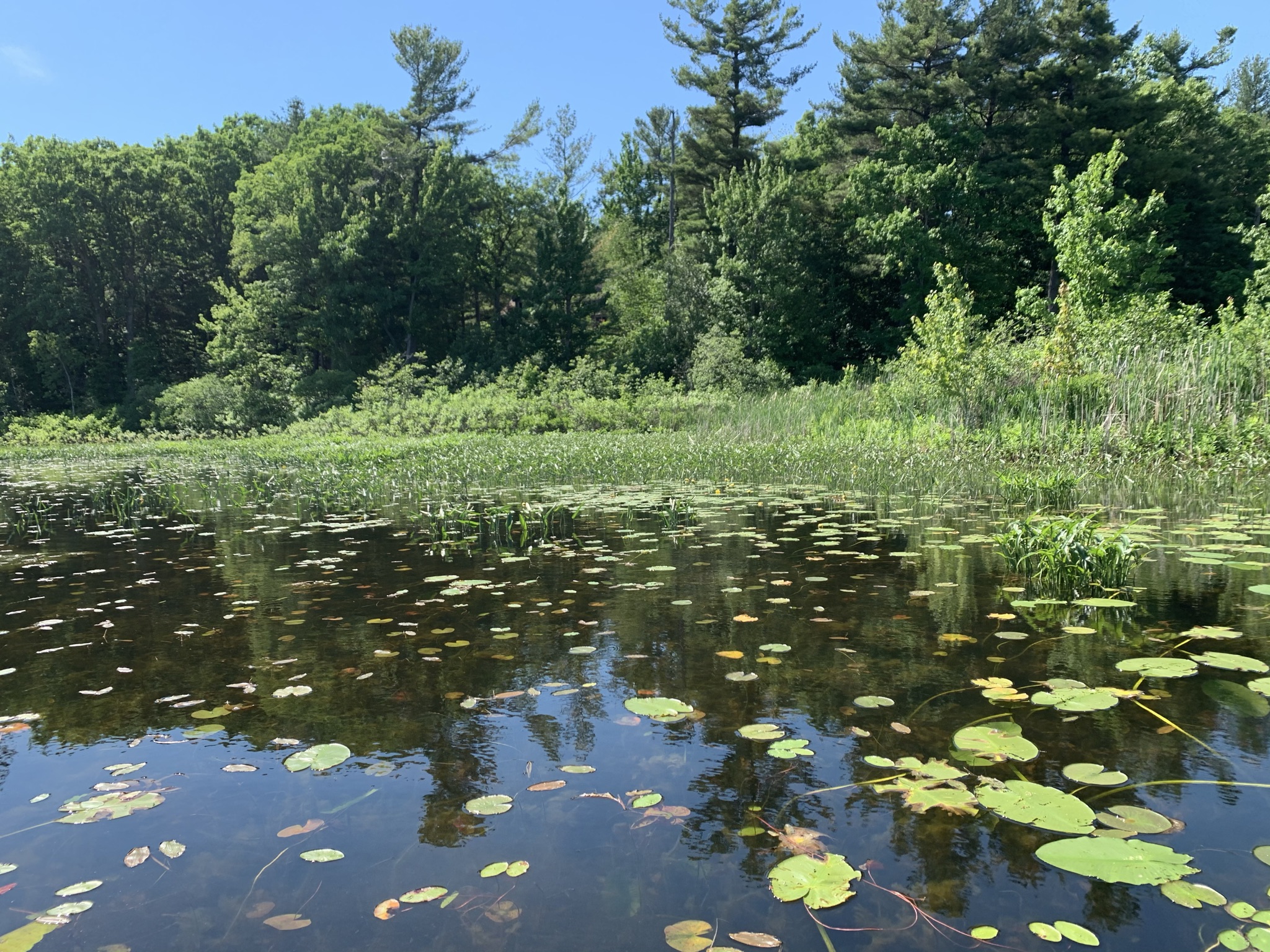 Mud Lake – SLELO PRISM