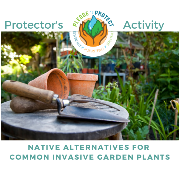 Community Protectors Forests Protectors Garden Protectors Lands ...