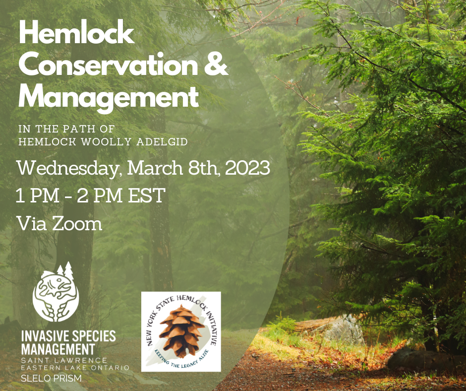canva_hemlock-conservation-webinar_NYSHI-1.png
