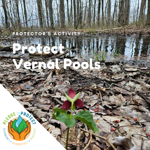 Community Protectors Forests Protectors Garden Protectors Lands